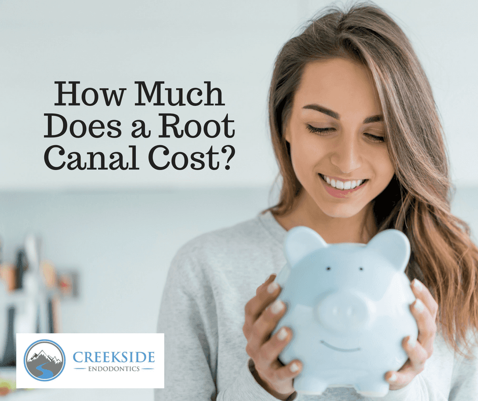 How Much Does A Root Canal Cost Creekside Endodontics Lone Tree Endodontist In Lone Tree
